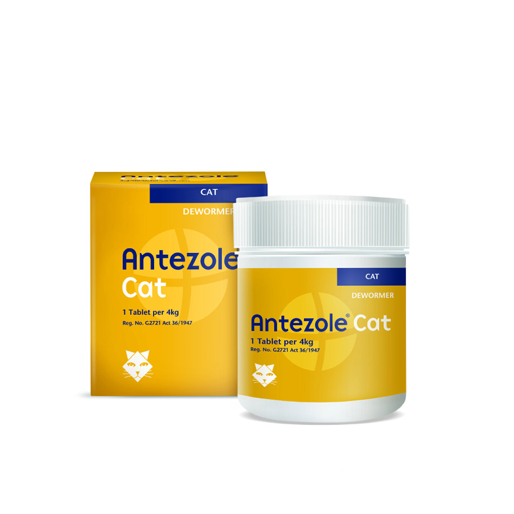 Buy Kyron Antezole Deworming Tablets For Cats - Free Shipping
