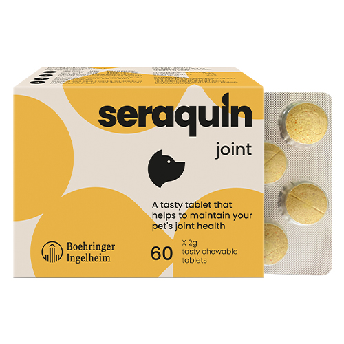 Buy Seraquin 2 Gm - Free Shipping