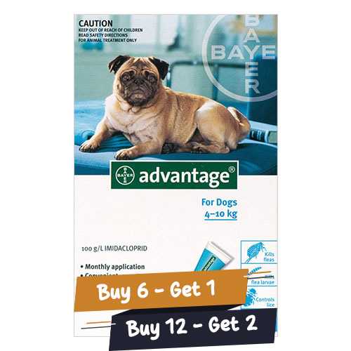 Buy Advantage Medium Dogs 11-20lbs (Aqua) - Free Shipping