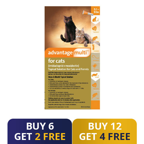 Buy Advantage Multi (Advocate) Kittens & Small Cats Up To 10lbs (Orange ...