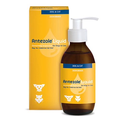 Buy Antezole Liquid Oral Suspension For Dogs & Cats - Free Shipping