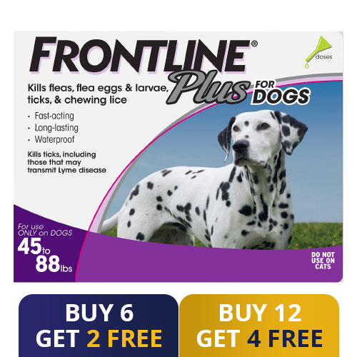 Buy Frontline Plus For Large Dogs 45-88 Lbs (Purple) - Free Shipping