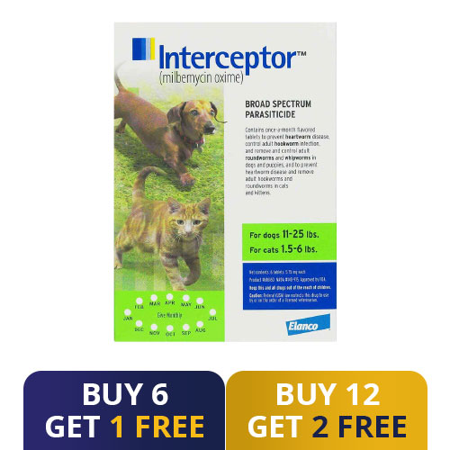 Buy Interceptor For Small Dogs 11-25 Lbs (Green) - Free Shipping