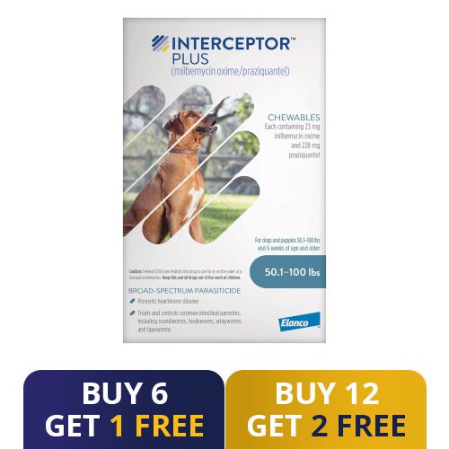 Buy Interceptor Plus Chew (Interceptor Spectrum) For Dogs 50.1- 100lbs ...