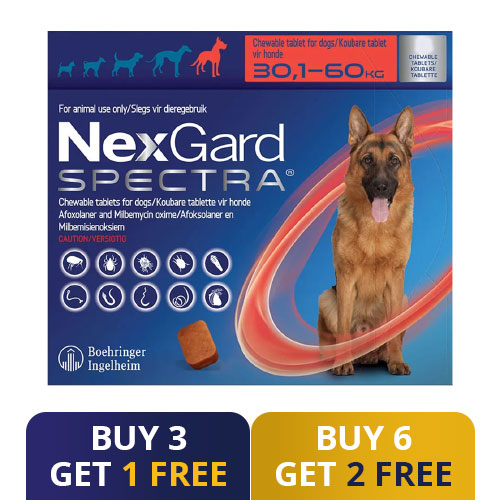 Buy Nexgard Spectra For Xlarge Dogs 66-132 Lbs (Red) - Free Shipping