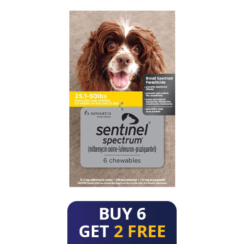 Buy Sentinel Spectrum Chews Yellow For Dogs 25.1-50 Lbs - Free Shipping